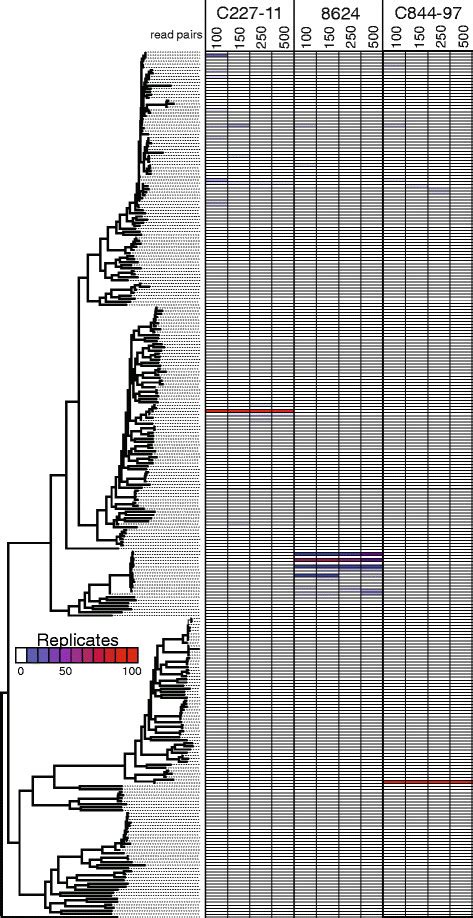 A Phylogeny And Associated Heatmap Showing The Placement Of Read