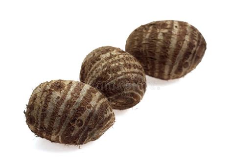 Eddo Stock Image Image Of Shot Ingredient Life Eddo 172800461