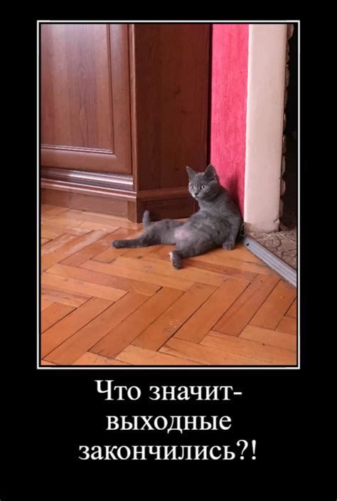 Клопик.КоМ