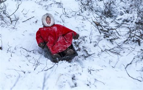 A Resident Of The Tundra Indigenous Residents Of The Far North Tundra