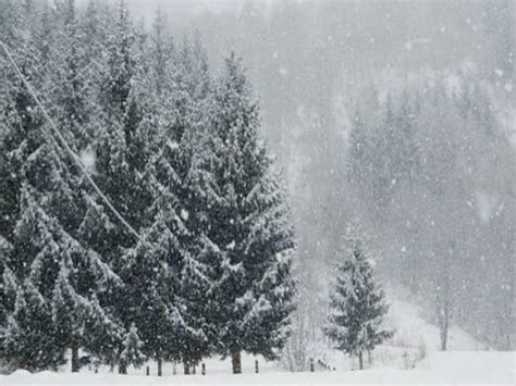 Cronaca Meteo Linverno Insiste Sui Pirenei Con Maltempo Vento E Neve