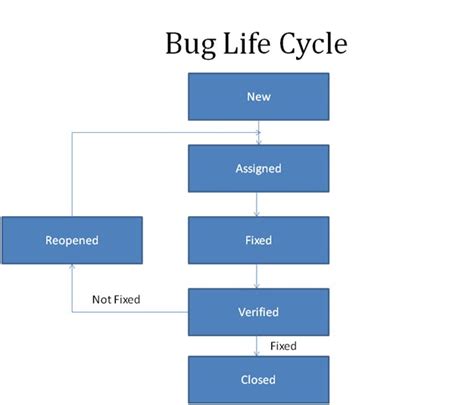 Software Testing Bug Life Cycle Definitions And Different Severities