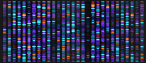Dna Sequencing Map Genetic Chromosome Data Visualization With Pattern