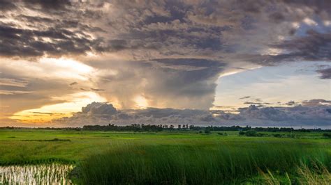 Free Images Sky Natural Landscape Nature Cloud Grassland Paddy