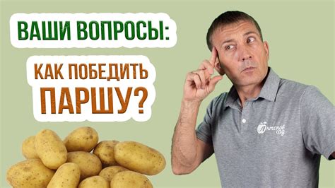 Парша на картофеле - болезни картофеля и меры борьбы с ними! Чем ...