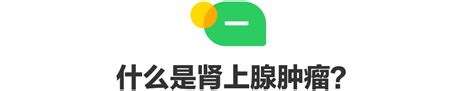 体重飙升、血压不稳、爱发脾气？可能是“肾上腺肿瘤”在作怪！科普健康160资讯网