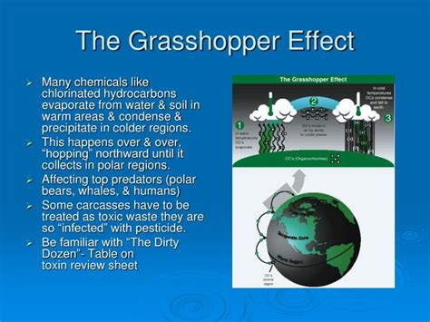 Ppt Pest Control Powerpoint Presentation Id2396407