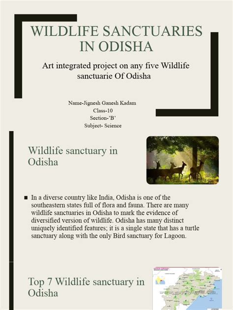 Class 10th Science Holiday Homework Ppt 1 Pdf Tiger Wildlife