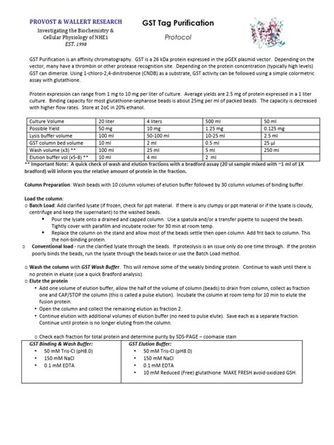 Gst Tag Purification Protocol Pdf Glutathione S Transferase