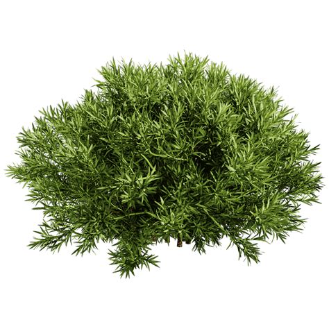 Sabina Pingii 01 06 Download The 3d Model 46736