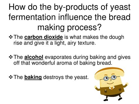 PPT Microbiology And Yeast Cell Fermentation PowerPoint Presentation