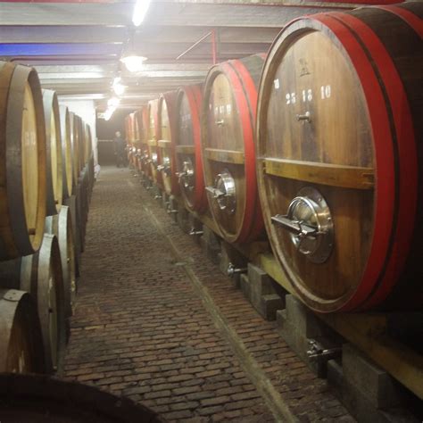 Brasserie Timmermans 2025 All You Should Know Before You Go W Reviews