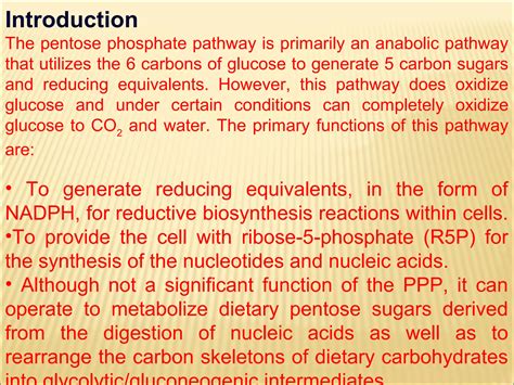 Pentose Phosphate Pathway Ppt