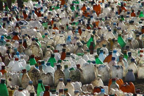 10 Reasons Why Single Use Plastic Is Bad For The Health And Environment