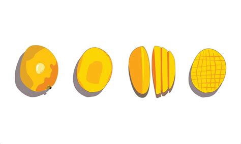 Mango Shape Vector Art Icons And Graphics For Free Download
