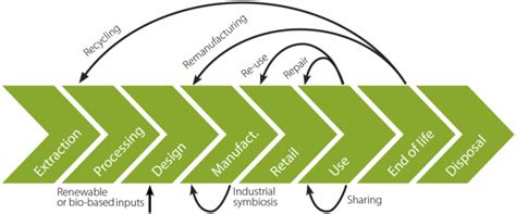 Circular Economy And Procurement Sustainable Synergy