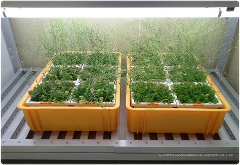 대구경북과학기술원 에코리아팜