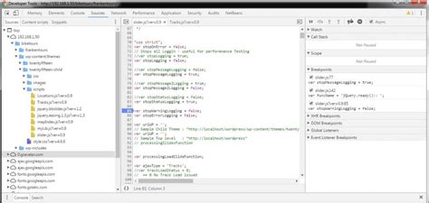 debugging a javascript wordpress environment with webstorm helmut s