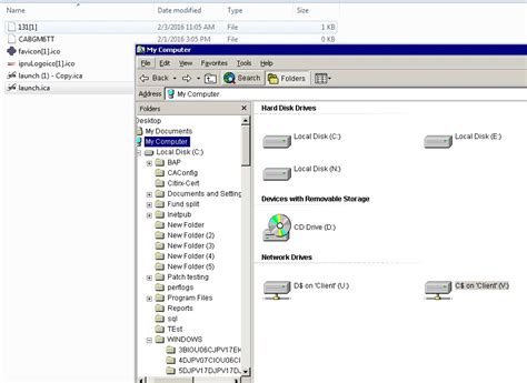 penetration testing of citrix server