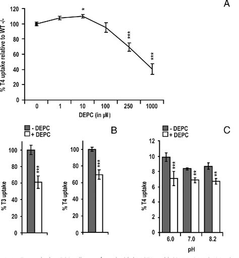 Figure 1 From Importance Of His192 In The Human Thyroid Hormone