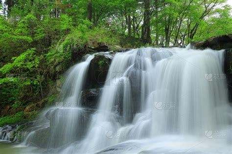 瀑布 夏天 岩手县 旅途 著名自然景观 枝繁叶茂 自然美 植物 河流 岩石