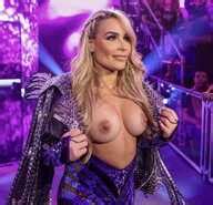 Post Fakes Natalya Wrestling Wwe