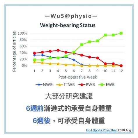 後十字韌帶重建術後注意事項 豐樂物理治療所 台中物理治療 豐原物理治療 台中徒手治療 • 體外震波治療