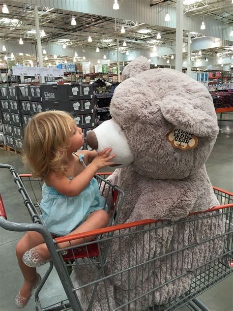 Costco Bear Teddy Bear Teddy