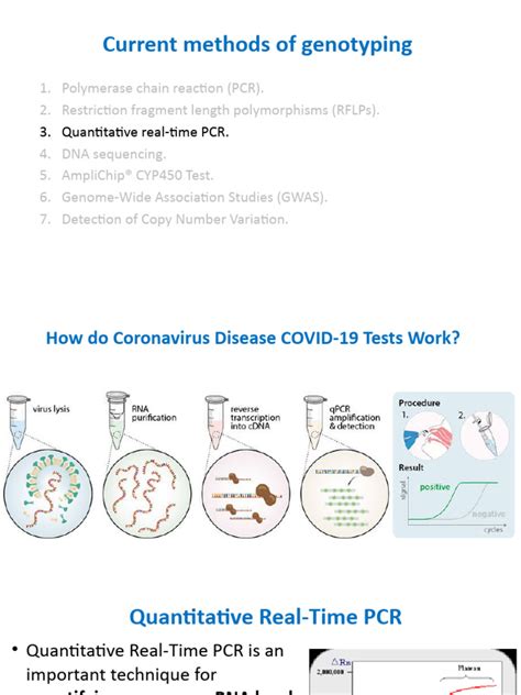 2 analytical methods to identify genetic variations pdf real time