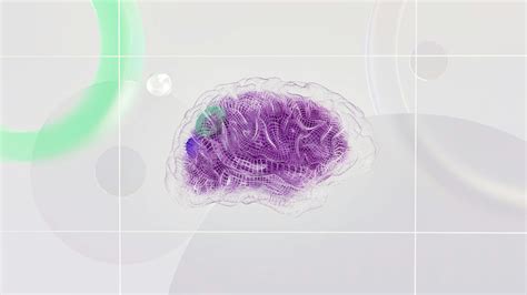 Peripheral Neuropathy Treatment
