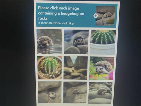 My Friends Captcha For Logging Into Her Epic Account Meme Guy