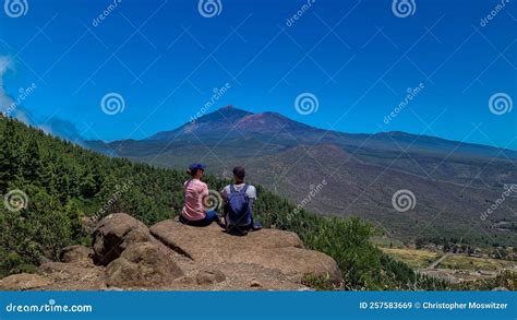 Pico Verde Couple With Scenic View On Volcano Pico Del Teide Surrounded By Canarian Pine Tree