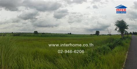 ประกาศขายที่ดิน ขายที่ดินเปล่า ที่ดินเปล่า 200 ตร ว ใกล้โรงพยาบาล