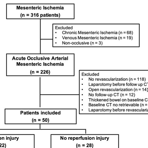 Revascularization Details And Outcomes Download Scientific Diagram
