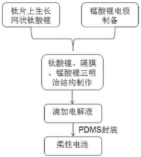 A Kind Of Preparation Method Of Flexible Lithium Ion Battery And Network Lithium Titanate
