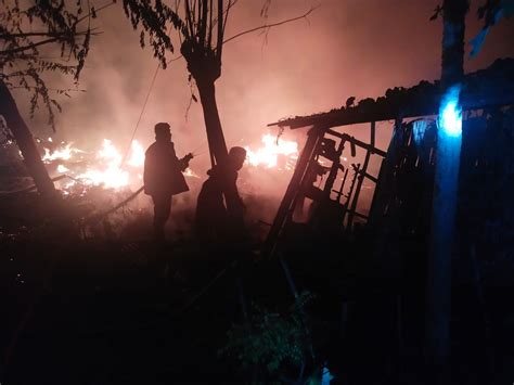 Kandang Peternakan Sapi Dan Kambing Di Benjeng Gresik Terbakar Hebat