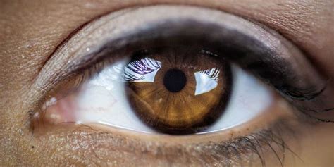 Pupil Dilation A New Window Into Exercises Impact On The Brain Eye Tracking Perception