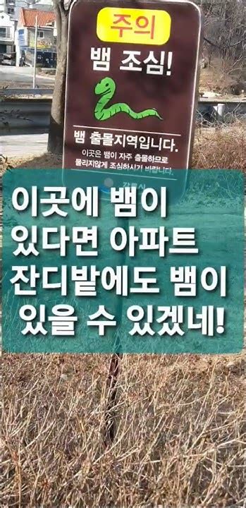 혹시 아파트 잔디 밭에도 강지구촌 풍경 뱀 풍경 Youtube
