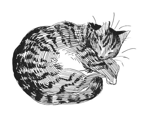 Heikala Original Pen Medium Traditional Media Animal Animal