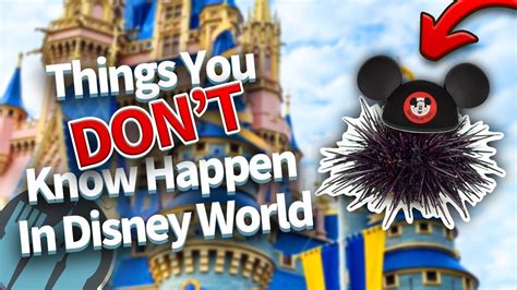 Incredible Things You Don T Know Happen In Disney World Youtube