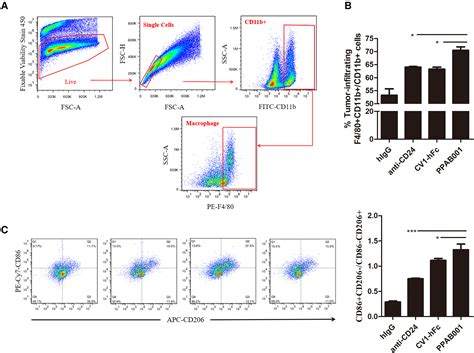 Dual Blockade Of Cd47 And Cd24 Signaling Using A Novel Bispecific
