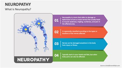 Neuropathy PowerPoint And Google Slides Template PPT Slides