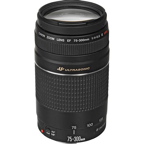 Canon EF 75 300mm F 4 5 6 III USM Lens 6472A002 B H Photo Video