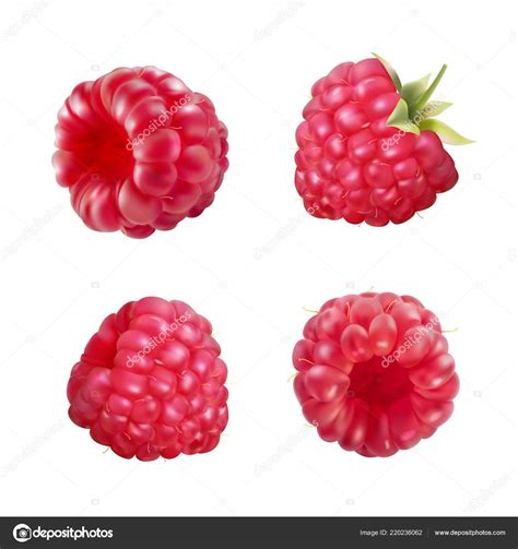 Raspberry 3d Vector Icons Set Realistic Illustration Stock Vector By