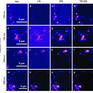 Comparison Of The Different Deconvolution Methods For TPC2 R GECO 1 2