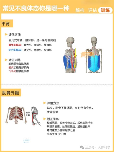 体态评估盘点常见不良体态评估方法和矫正训练 知乎