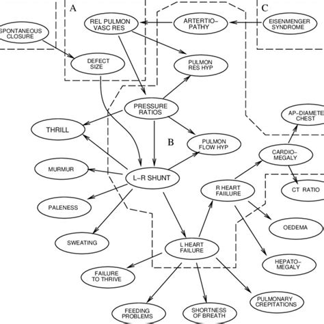 Vsd Model For Stage Iii Download Scientific Diagram