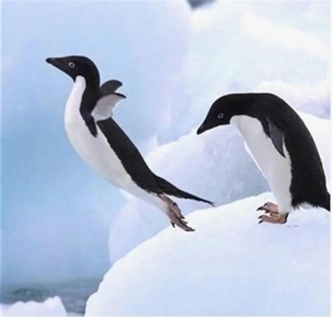 Nixcraft 🐧 On Twitter Here We See A Bunch Of Linux Users With New