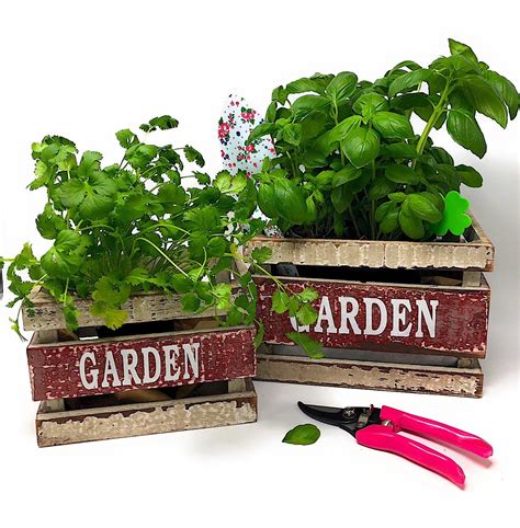 Rustic Wooden Crates For Stylish Kitchen Storage