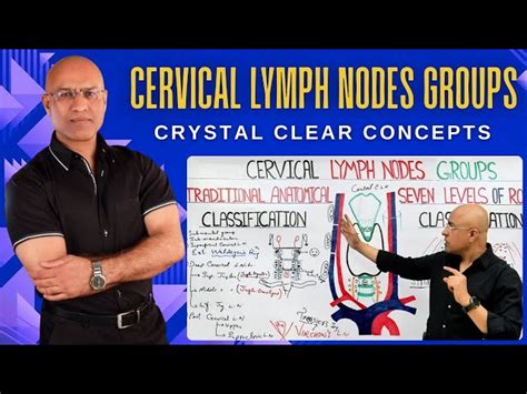 Free Video Cervical Lymph Node Groups Anatomy And Clinical